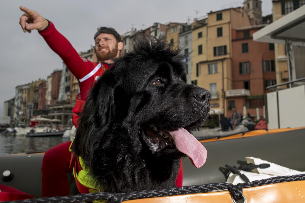 FURRY SUPERHEROES BOUND INTO THE TELUS IMAX THEATRE | Old Port of Montréal