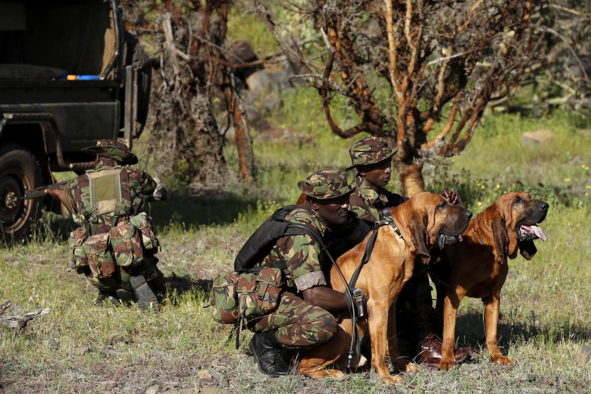 FURRY SUPERHEROES BOUND INTO THE TELUS IMAX THEATRE | Old Port of Montréal